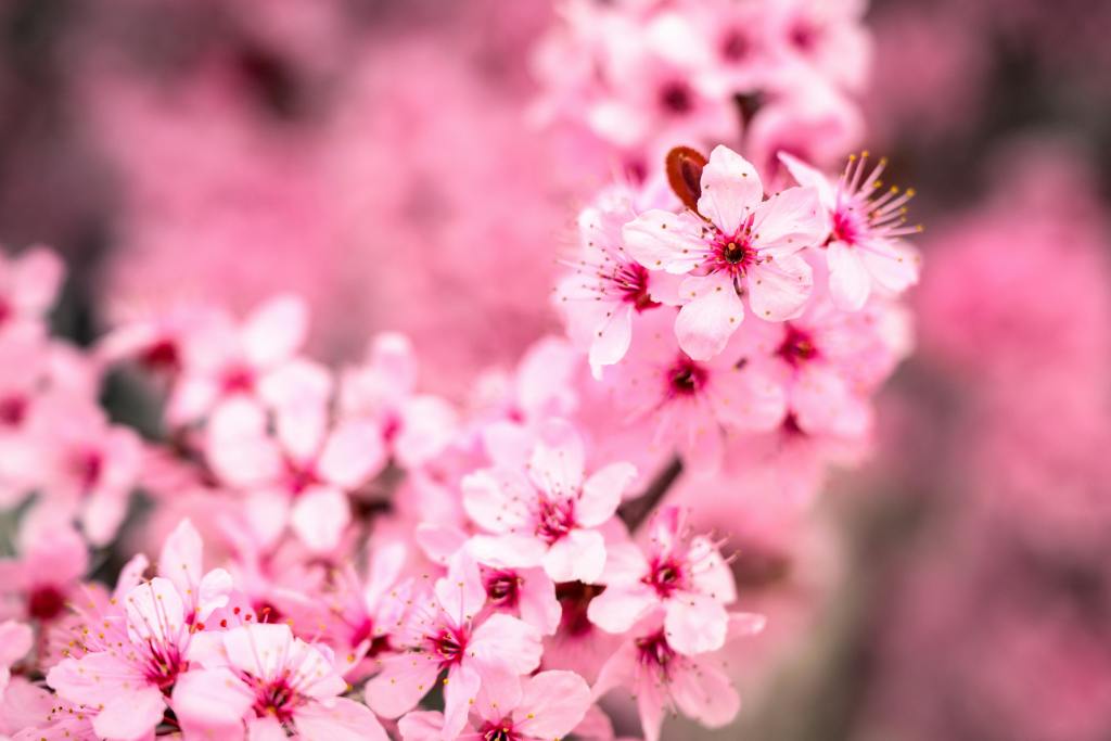 The Other Clinic - Fans Grief - It is not irrational, it is Human